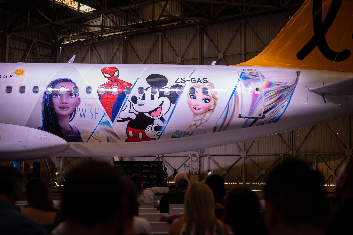 Disney Africa and LIFT Unveil Plane Livery This Holiday Season - The ...